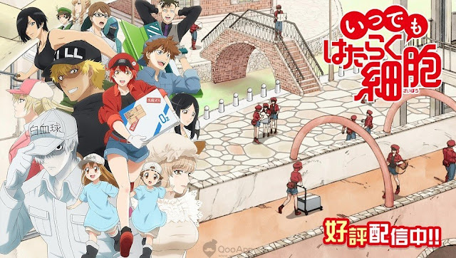 Hataraku Saibou Season 1 + 2 Subtitle Indonesia | anoBoy.pro