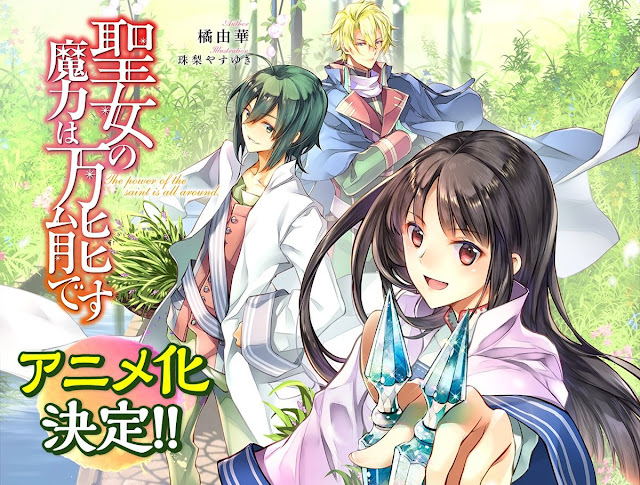 Seijo no Maryoku wa Bannou Desu Subtitle Indonesia | anoBoy